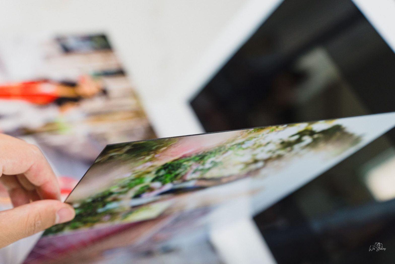 The Modern Album - Stanley Wu Photography